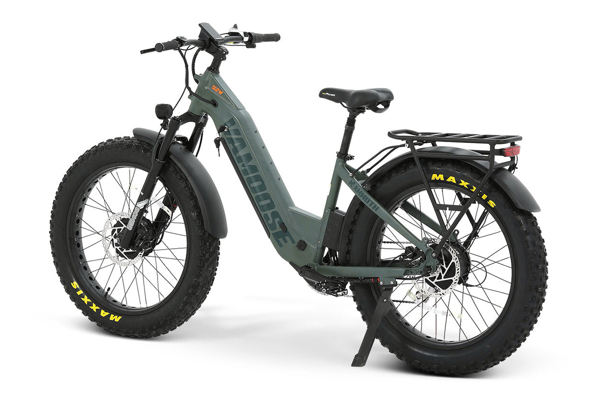 Vamoose Mammoth 500 ST E-Bike
